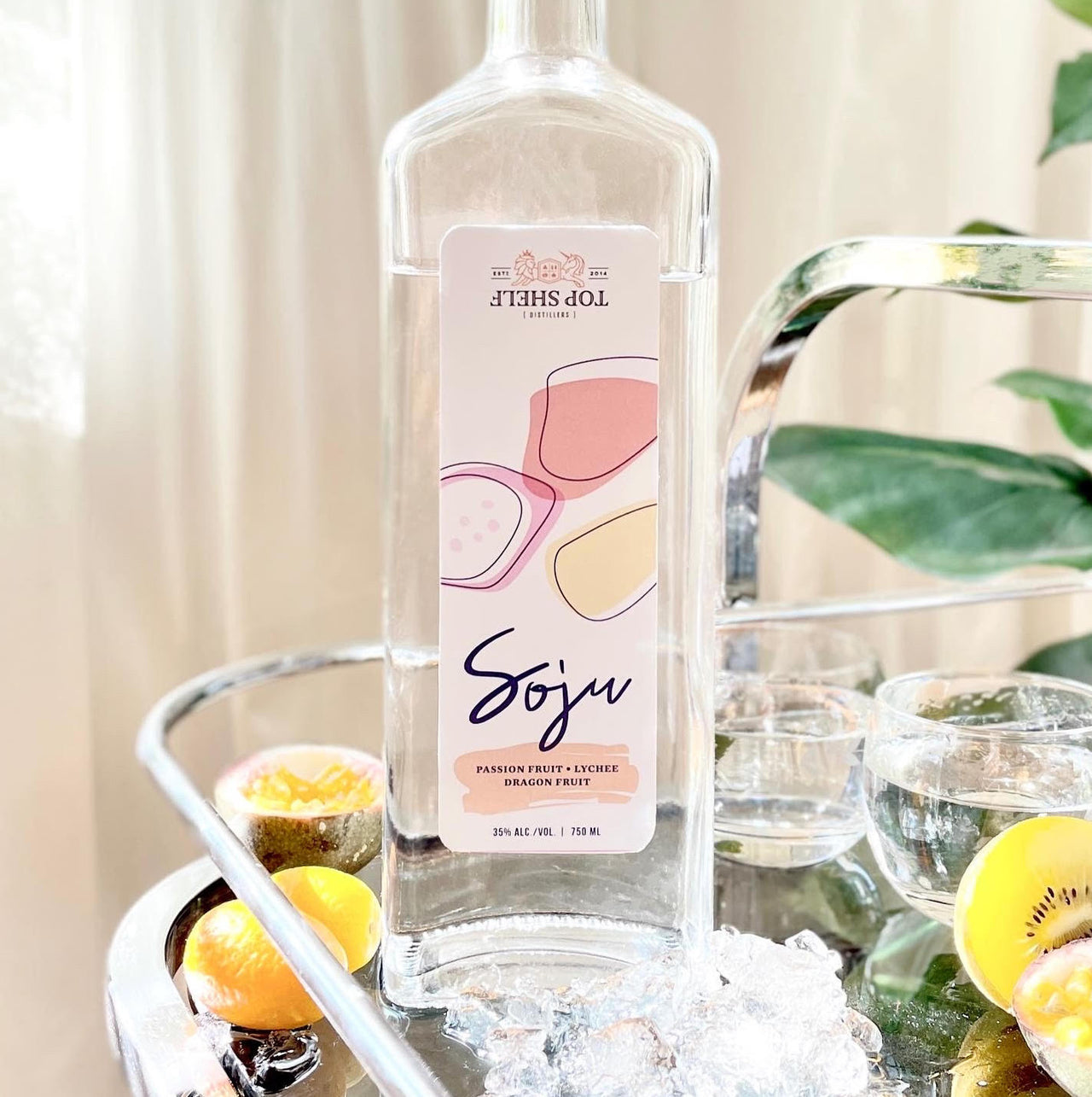 Top Shelf Soju Guide