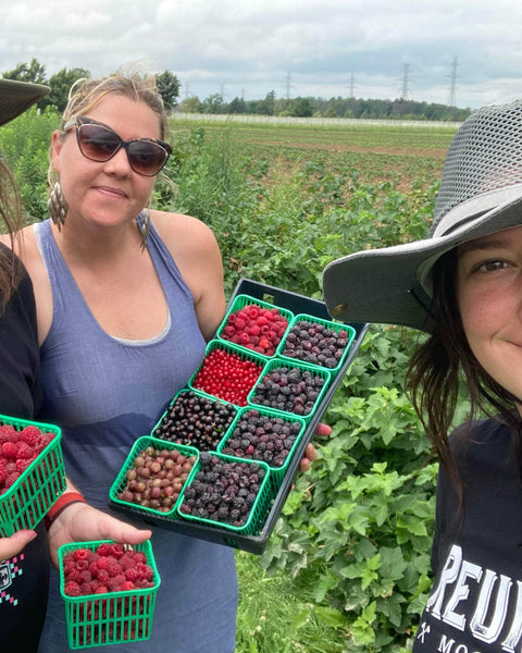 Top Shelf Distillers